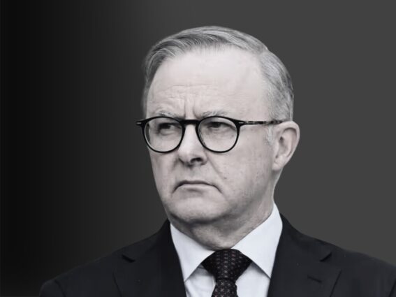 Three Brutal Bills: Albanese Government launches ruthless attack ...